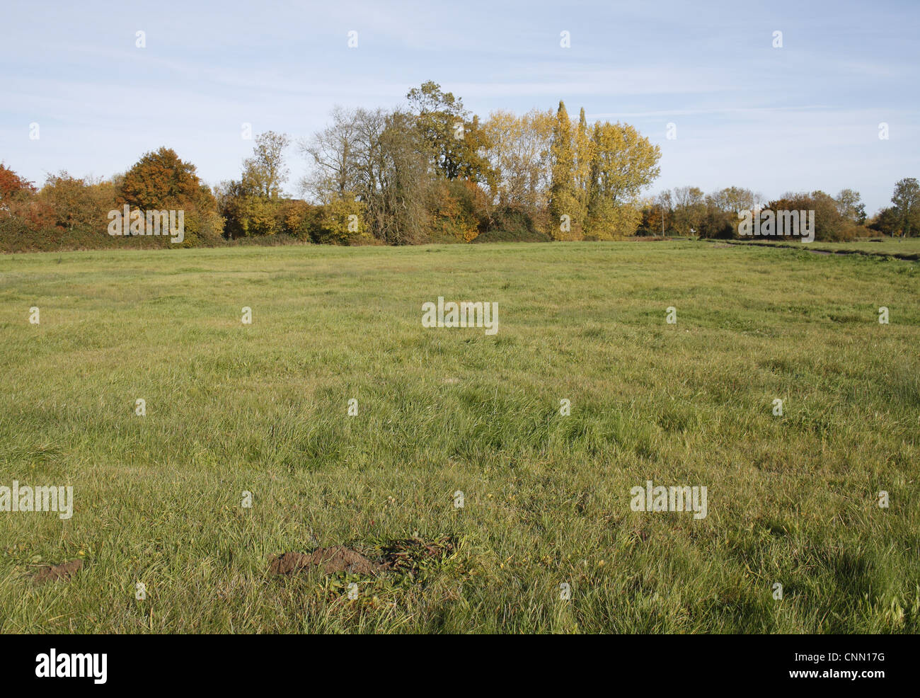 View of commonland reserve, The Carnser, Mellis Common, Mellis, Suffolk ...
