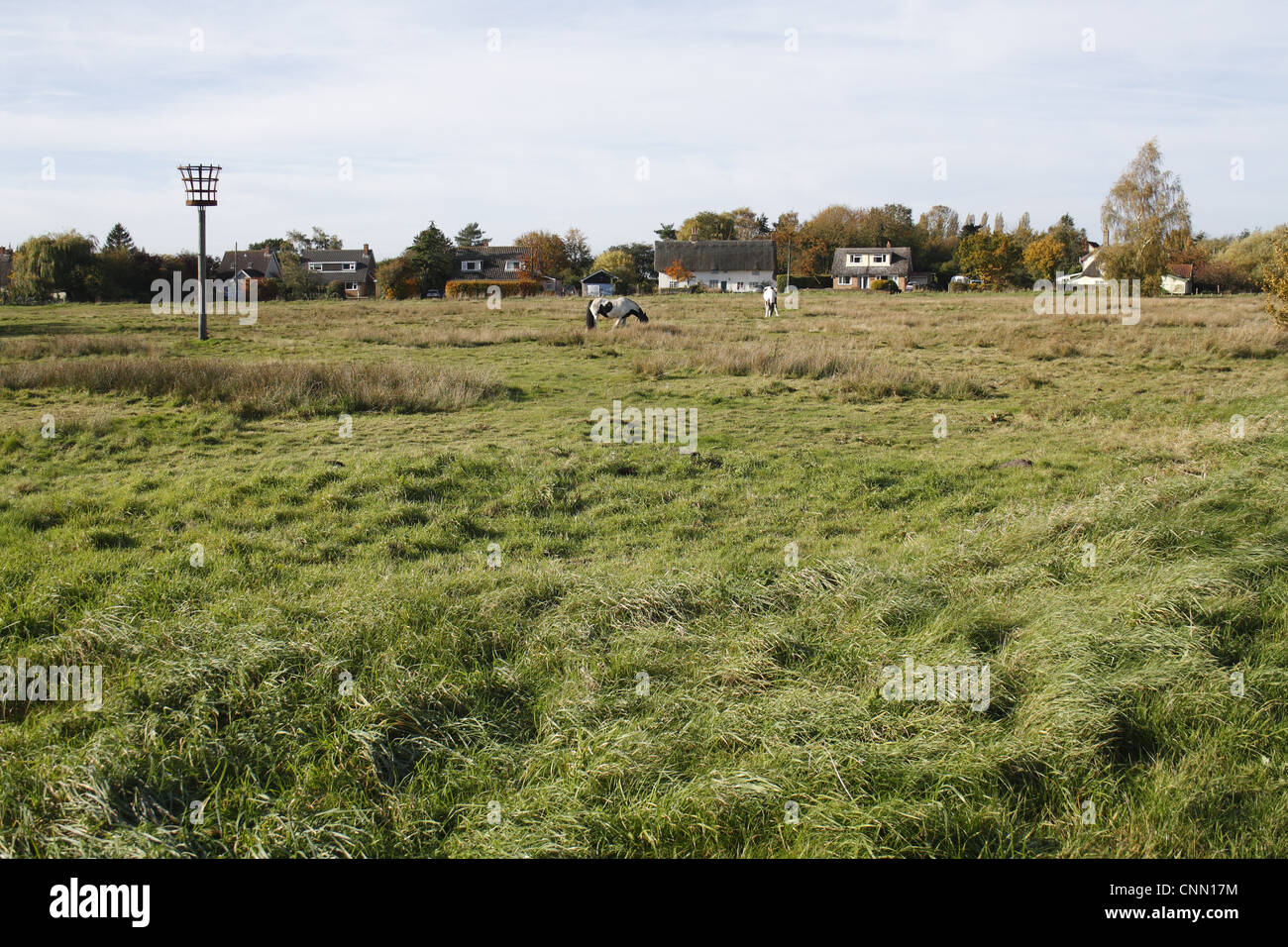 View of commonland with grazing horses and armada beacon, Wortham ...