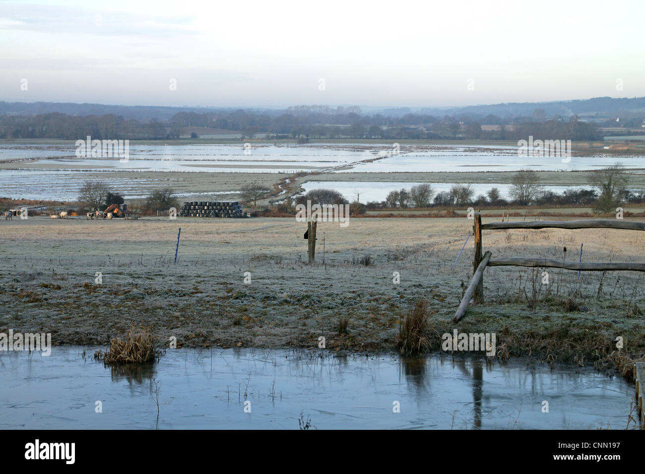 View frost covered pasture towards flooded watermeadow habitat ...