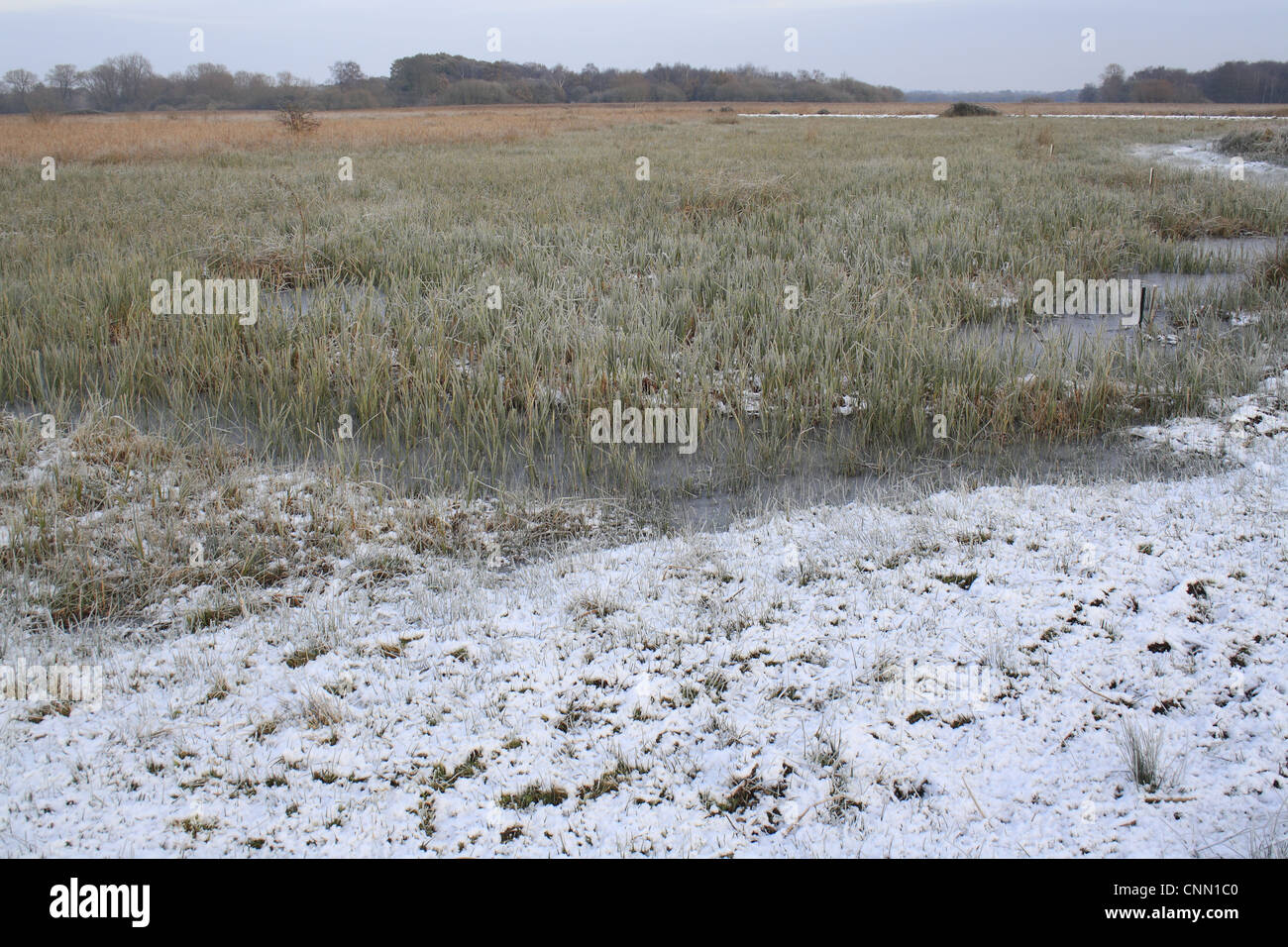 Frozen fens hi-res stock photography and images - Alamy