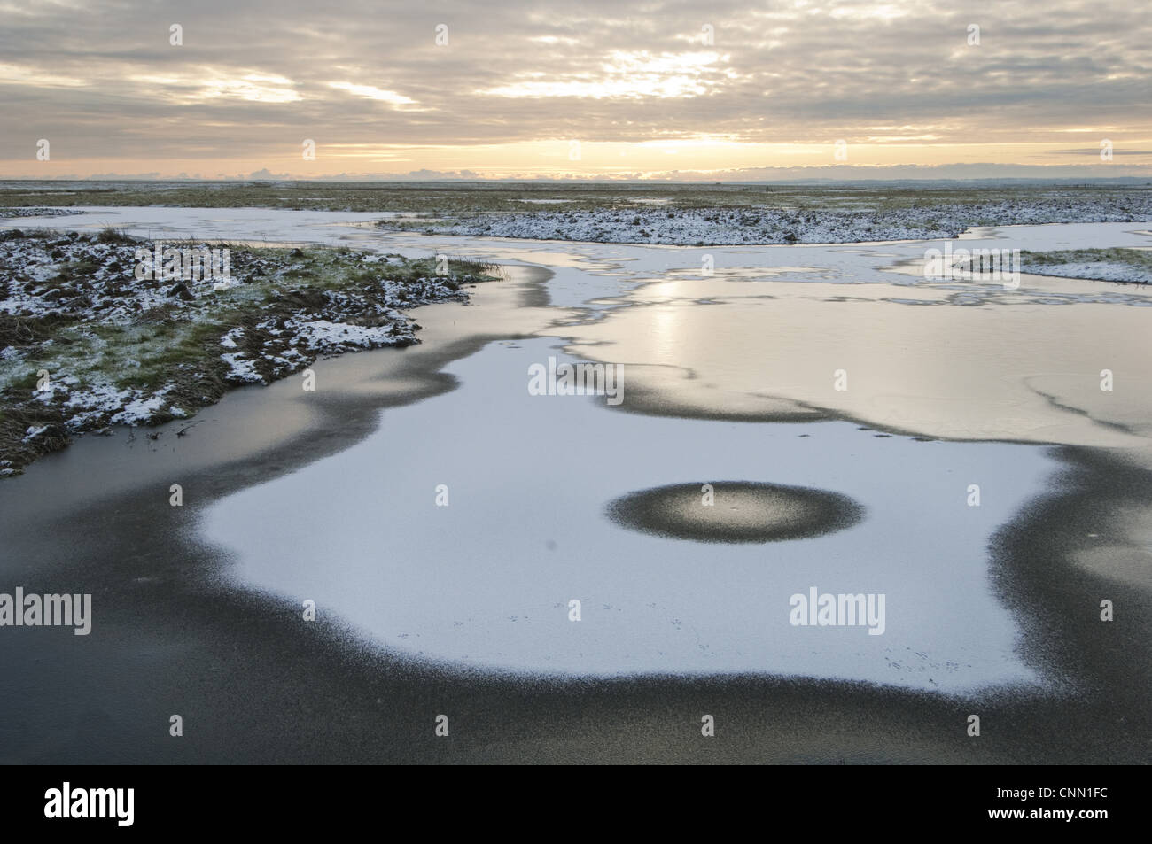 Frozen flooded grazing marsh and snow, Elmley Marshes N.N.R., North ...