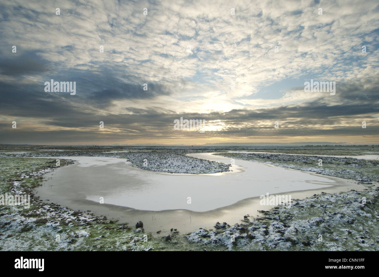 Frozen flooded rill and snow, Elmley Marshes N.N.R., North Kent Marshes ...
