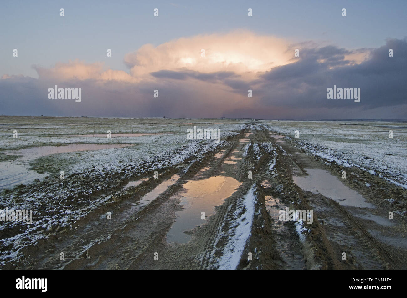 Muddy track hi-res stock photography and images - Alamy