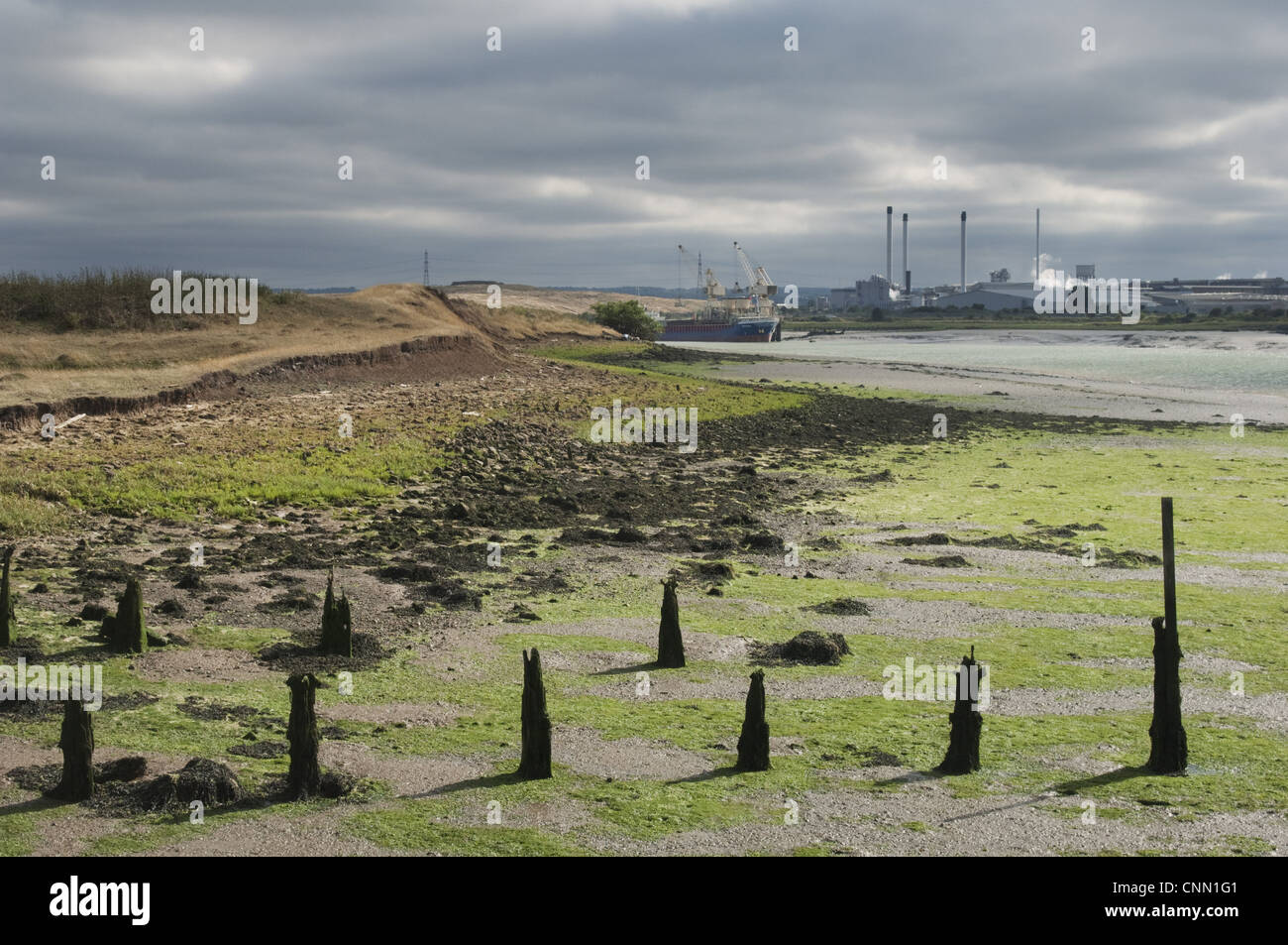 Breakwaters In The Mudflats High Resolution Stock Photography and ...