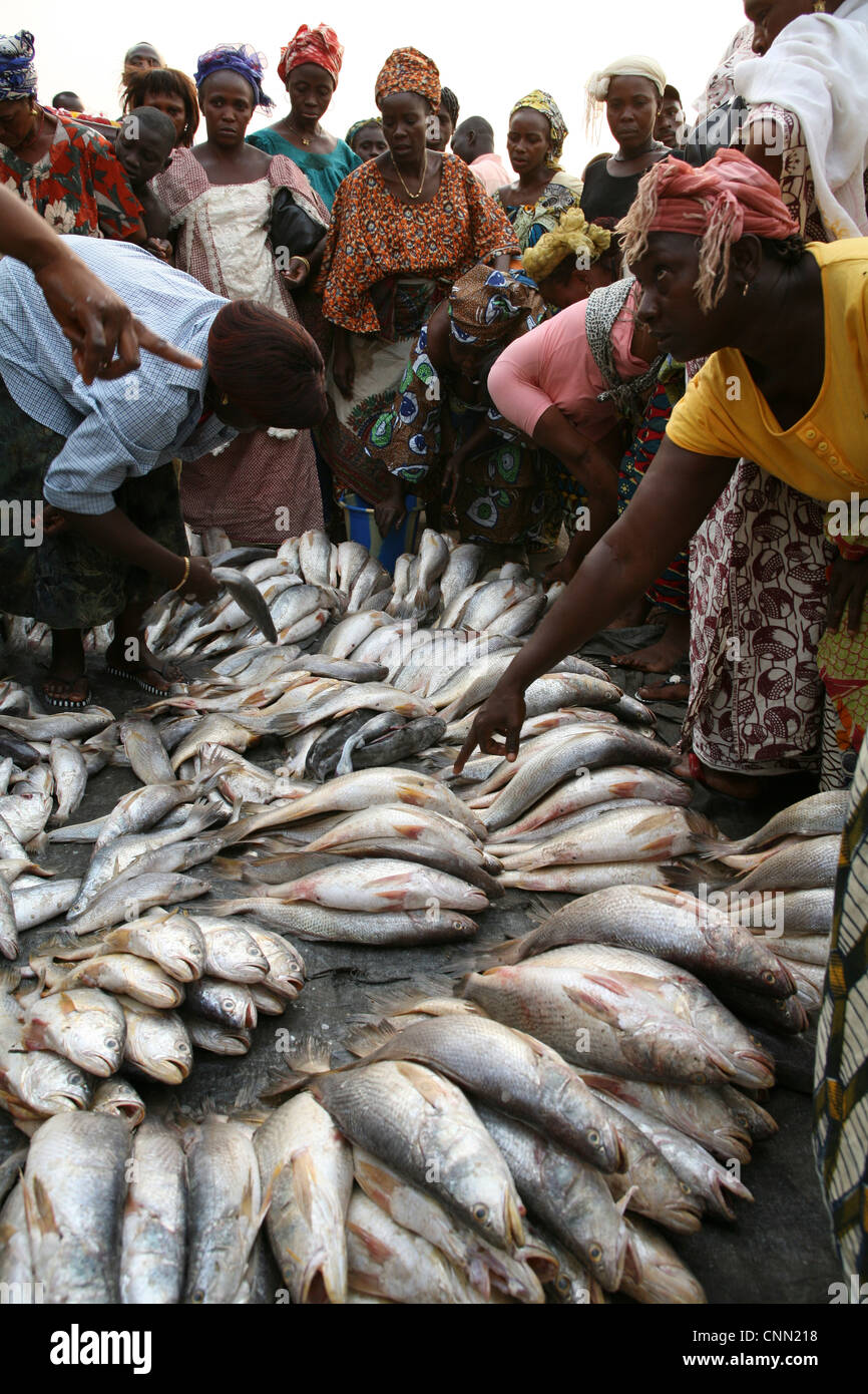Fish Market , Boublinet Harbour , Conakry Guinea , West Africa Stock ...