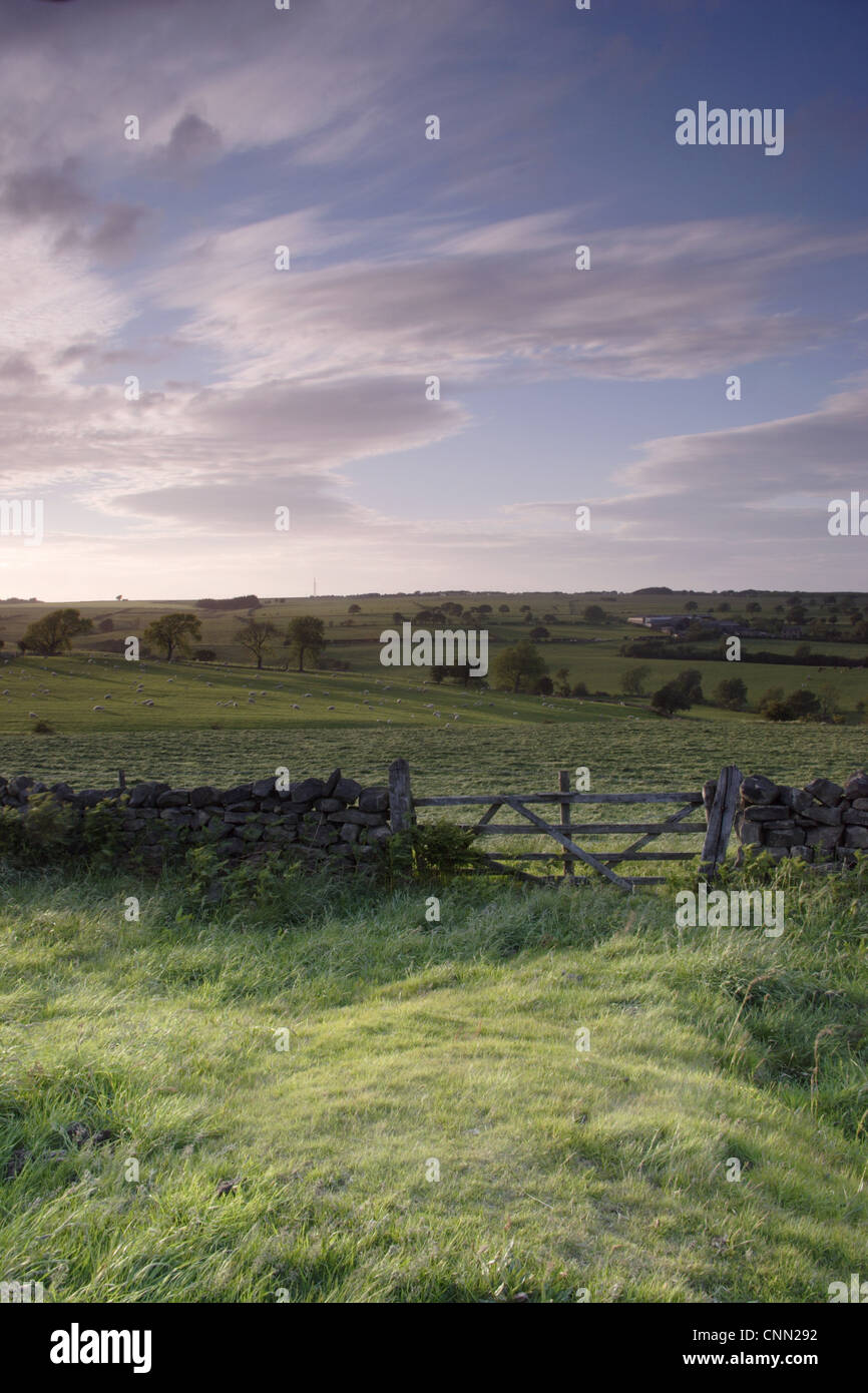 Sheep gate hi-res stock photography and images - Alamy