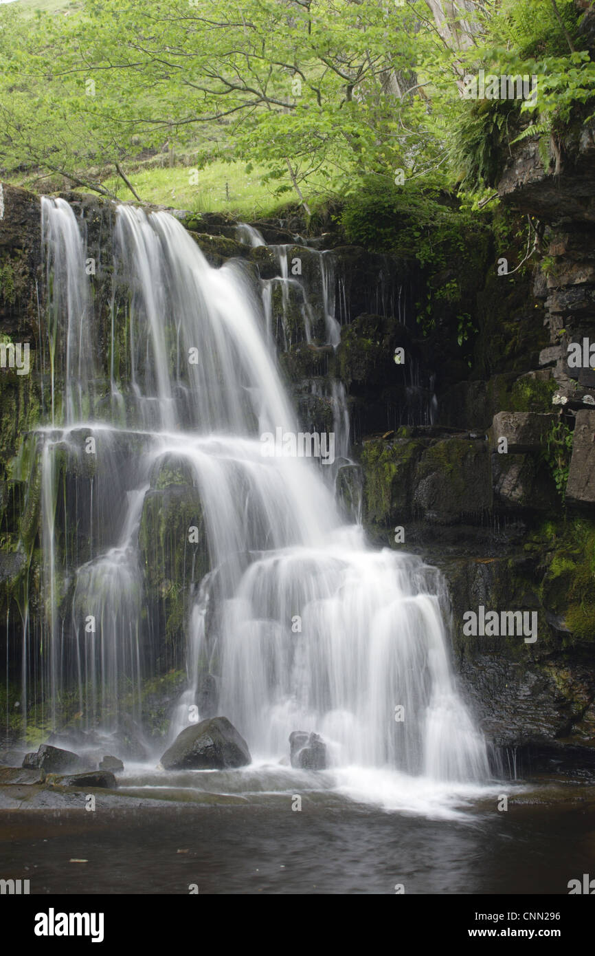 Waterfall on stream, East Gill Force, Keld, Swaledale, Yorkshire Dales ...