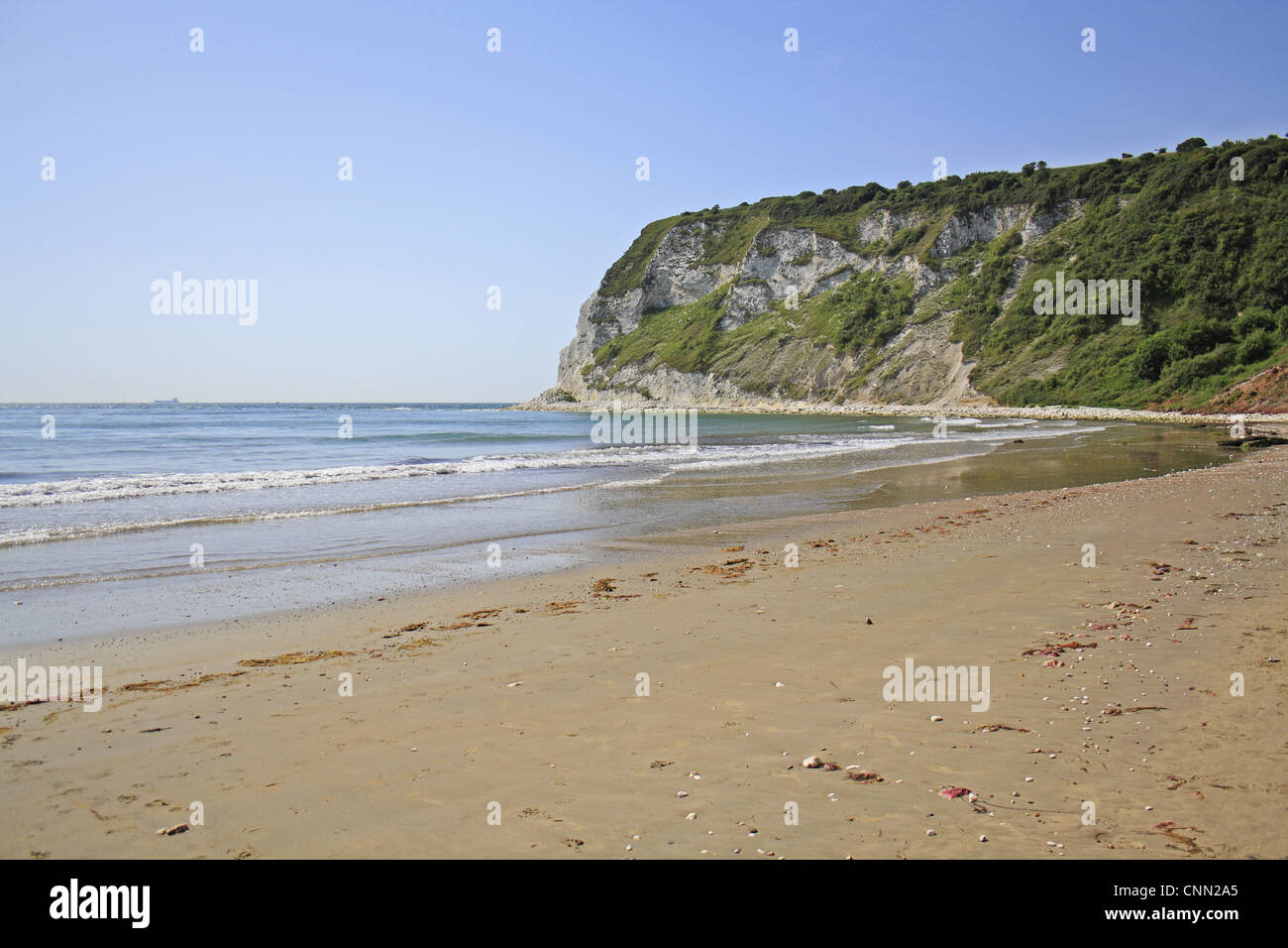 View of sandy beach and chalk sea cliffs, Culver Cliff, Whitecliff Bay ...
