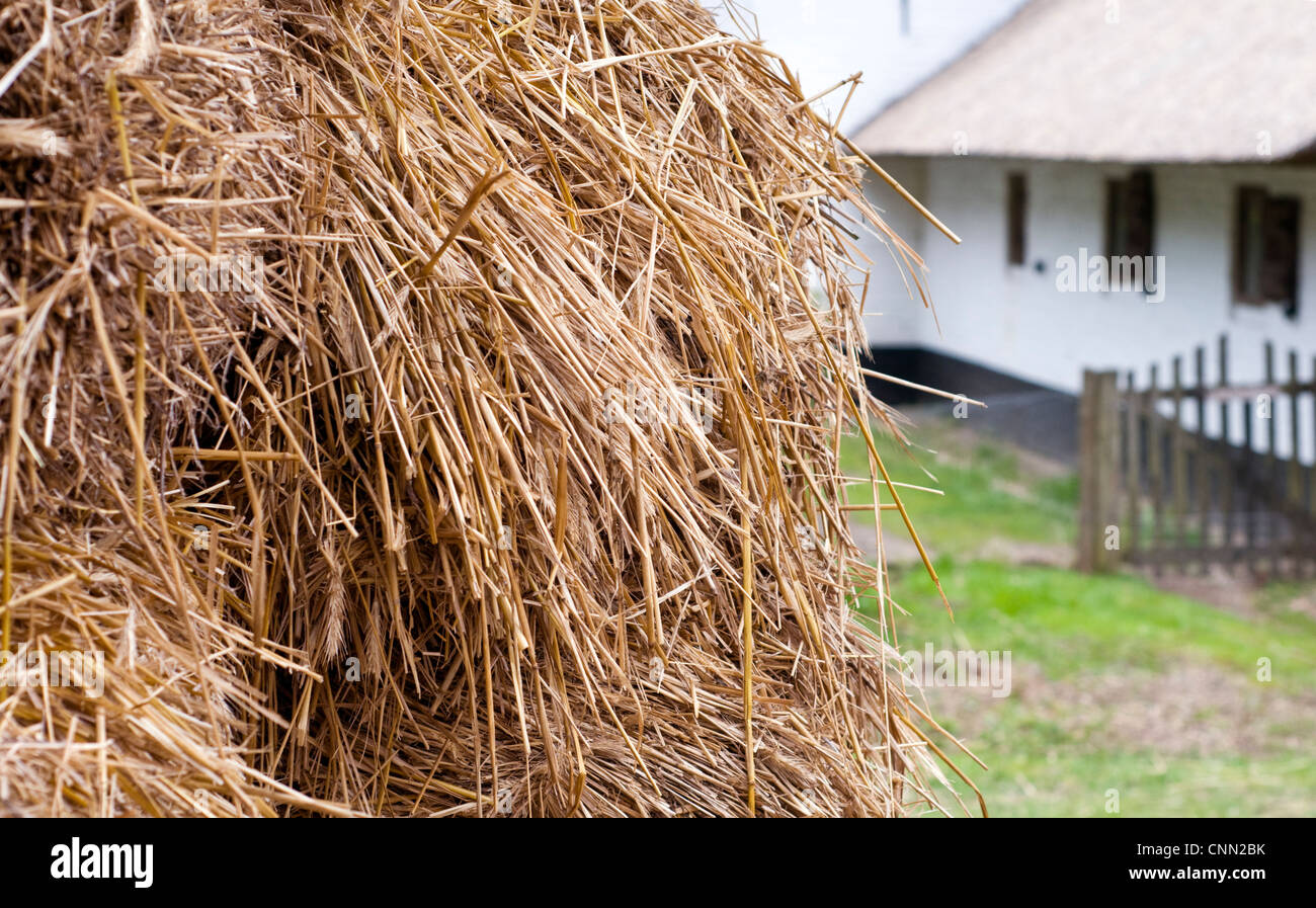 Building a haystack hi-res stock photography and images - Alamy