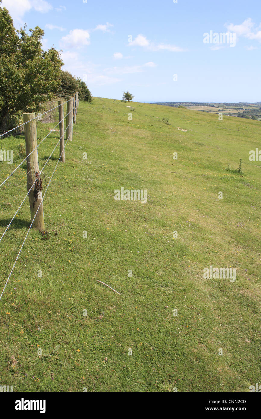 Barbed wire fence at edge of chalk downland reserve habitat, Arreton ...