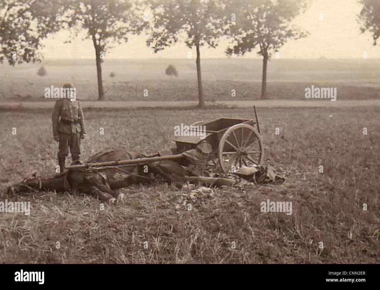 Germany during world war two Stock Photo - Alamy