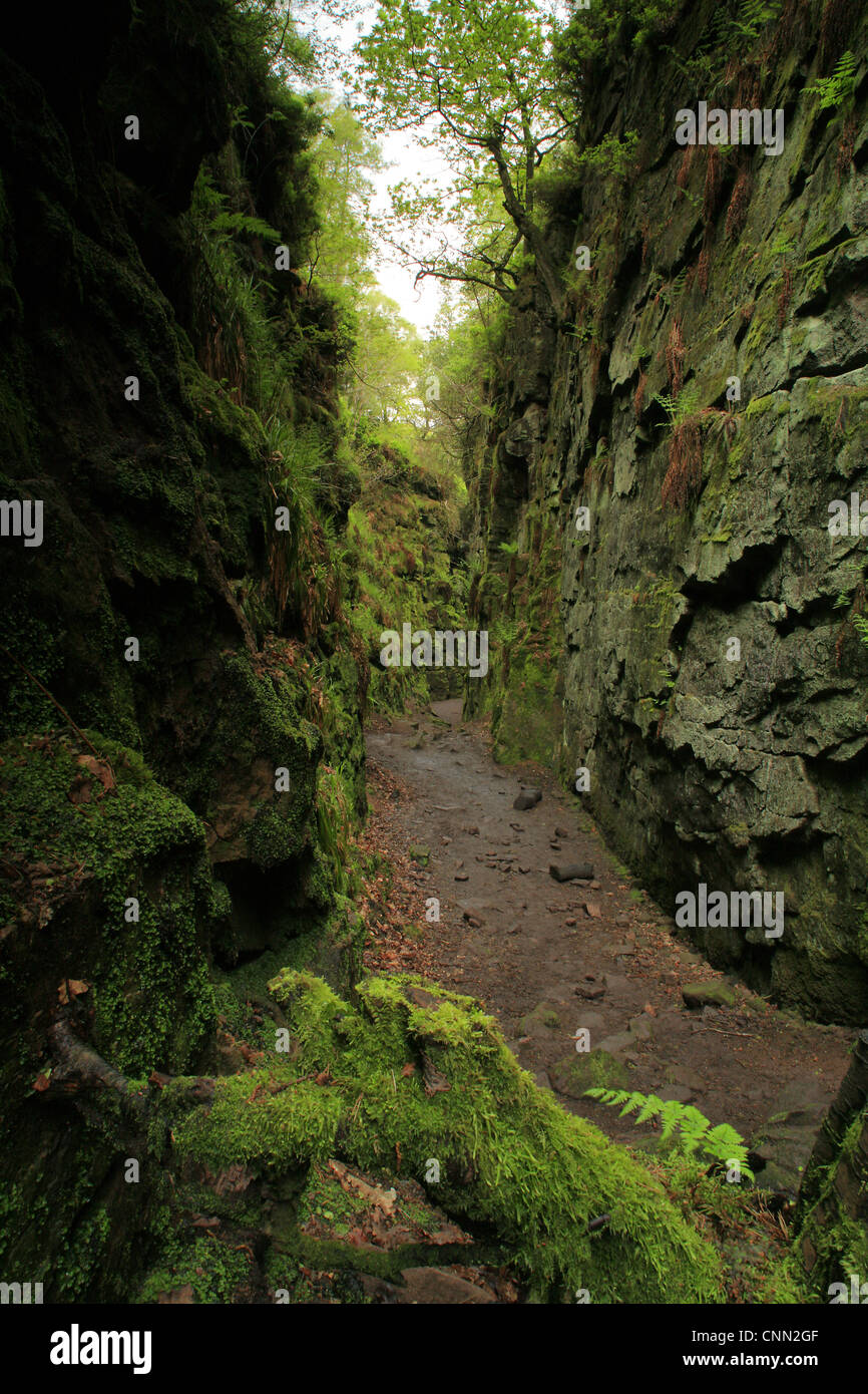 View deep chasm created by massive landslip hillside Lud's Church Black ...