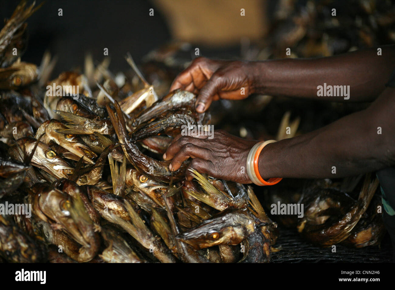 Fish Market , Boublinet Harbour , Conakry Guinea , West Africa Stock ...