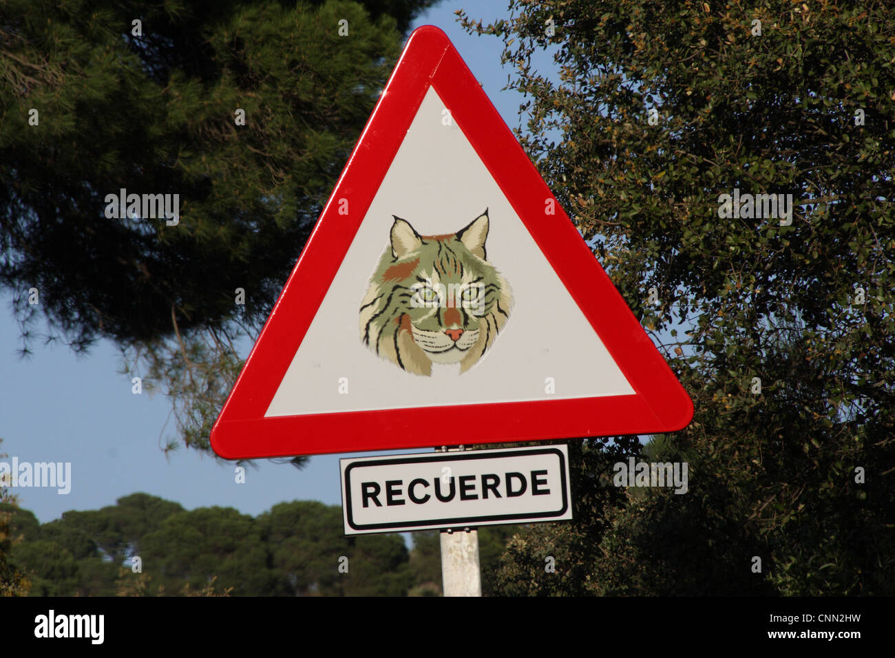 Cat traffic sign hi-res stock photography and images - Alamy