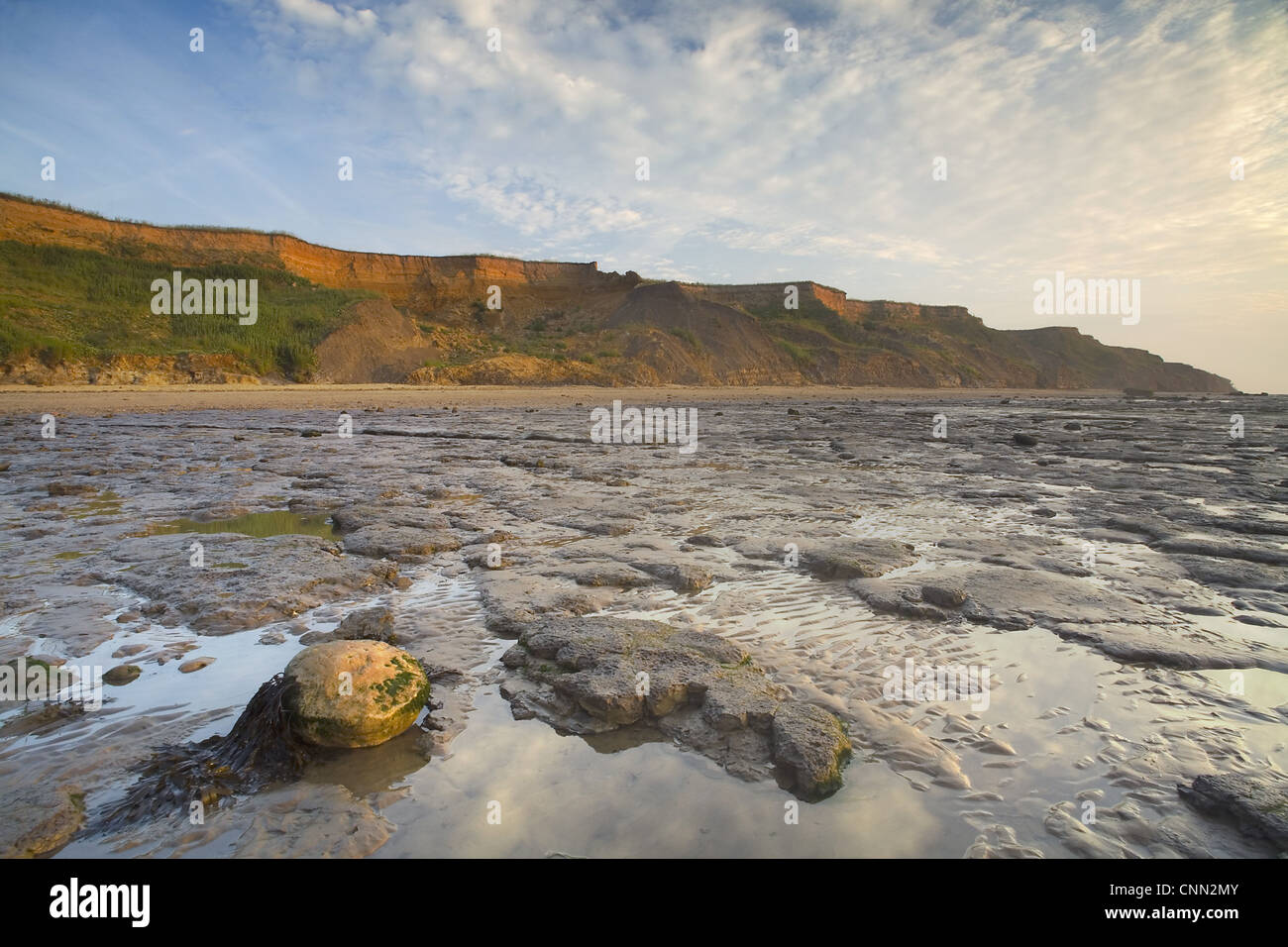 Walton on the naze cliffs hi-res stock photography and images - Alamy