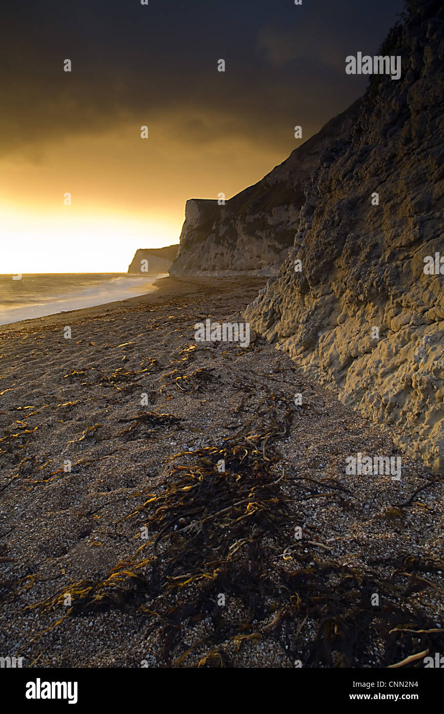 View of beach and limestone sea cliffs at sunset, looking west towards ...