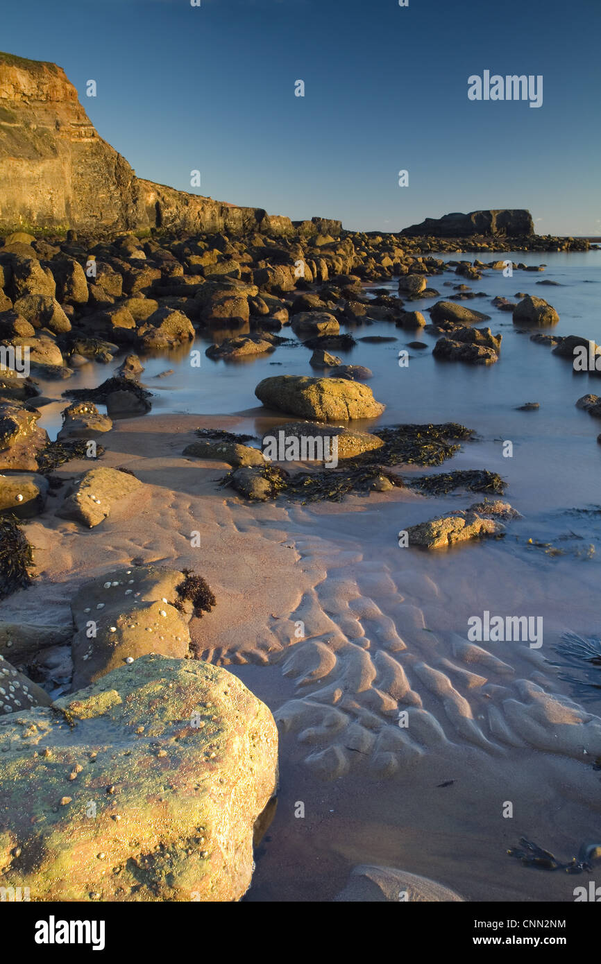 Rocks on beach with sea cliffs at sunrise, Saltwick Nab, Saltwick Bay ...