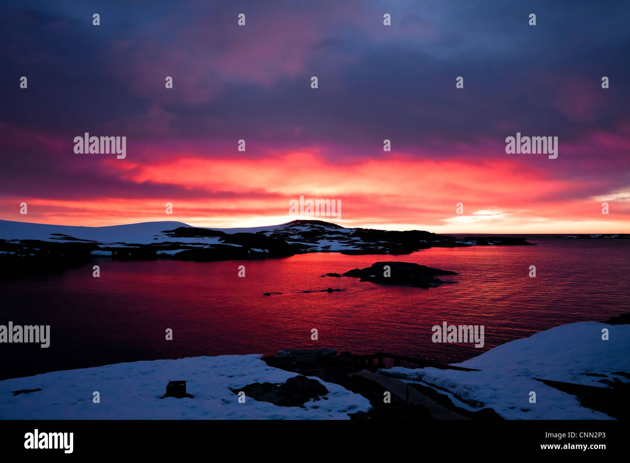 Summer sunset in Antarctica. Beautiful winter background Stock Photo ...