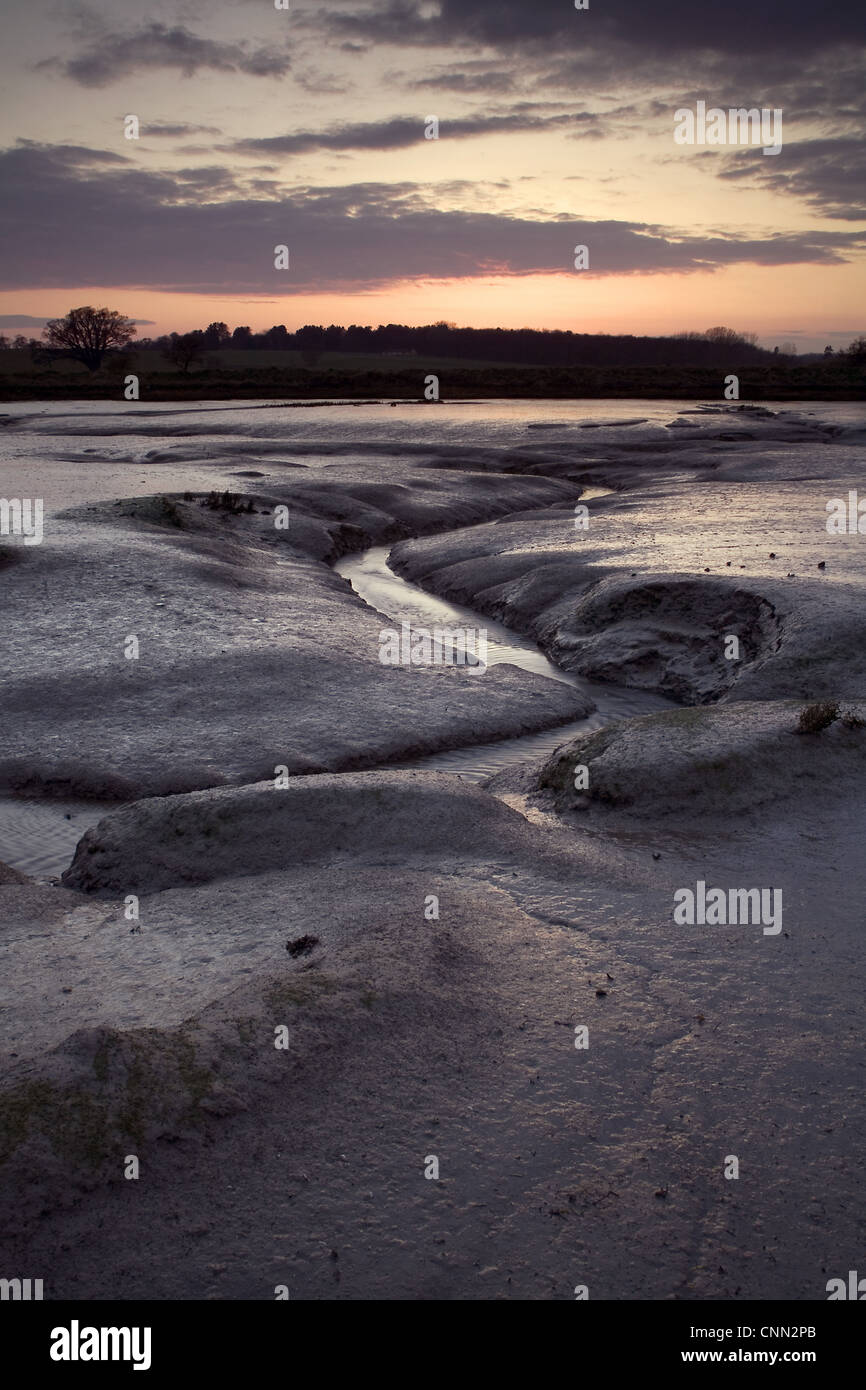 Estuaries muddy seashores hi-res stock photography and images - Alamy