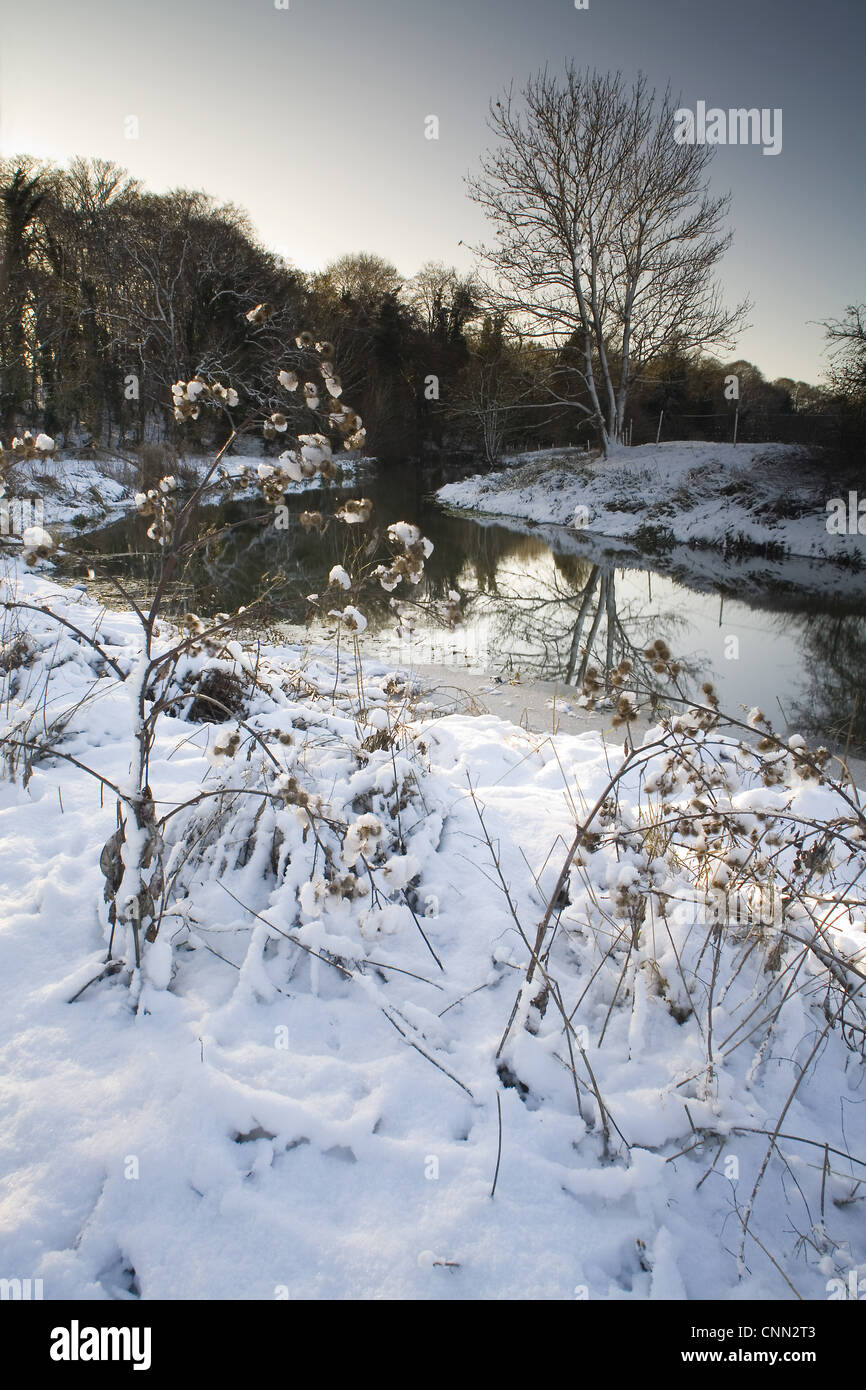 View of snow covered riverbank, River Gipping, Bramford, Suffolk ...