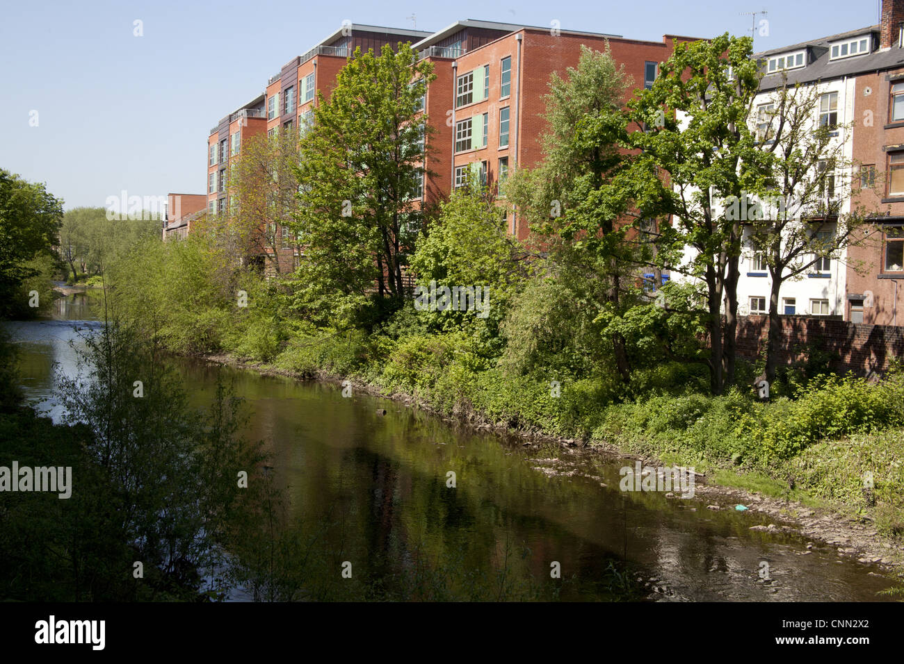 View of city centre river and buildings, River Don, Sheffield, South ...