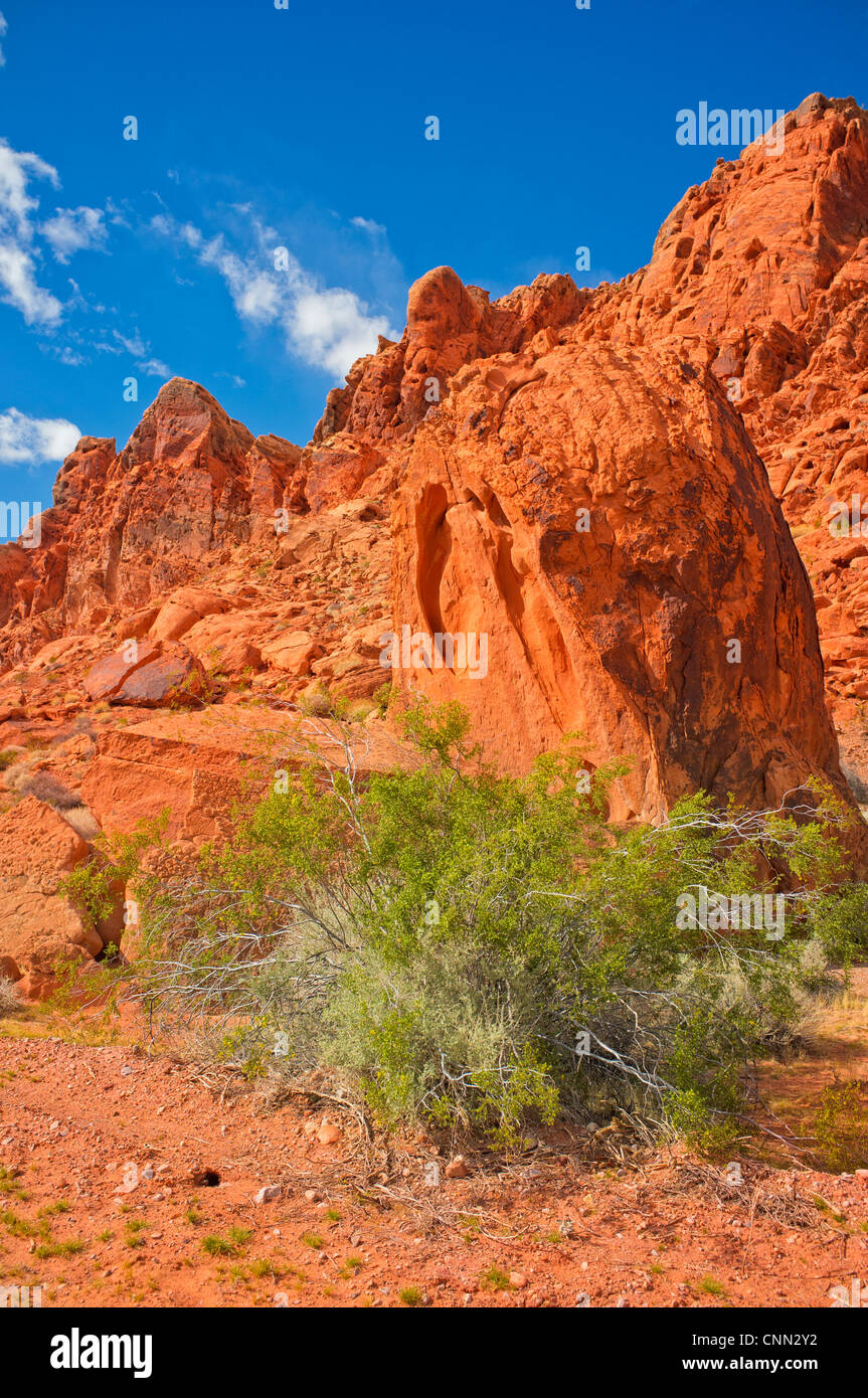 Valley of Fire - Nevada, USA Stock Photo - Alamy