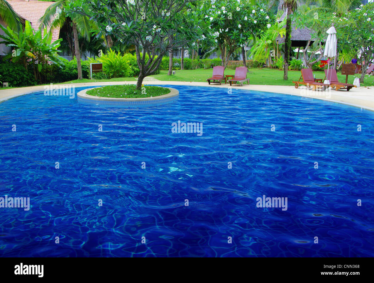tropical swimming pool with coconut tree and white umbrella Stock Photo ...