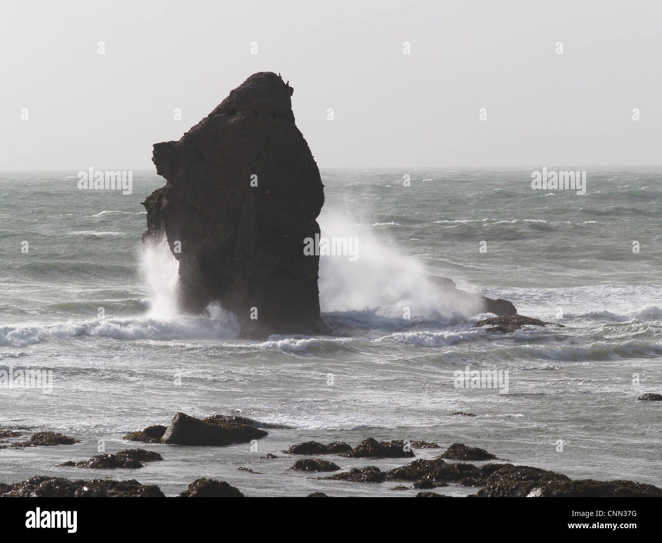 Thurlestone rock bay hi-res stock photography and images - Alamy