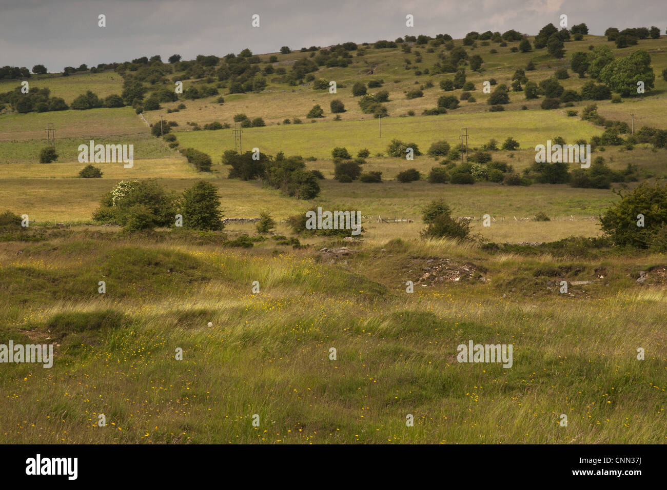 View of moorland habitat, Bonsall Moor, Peak District, Derbyshire ...