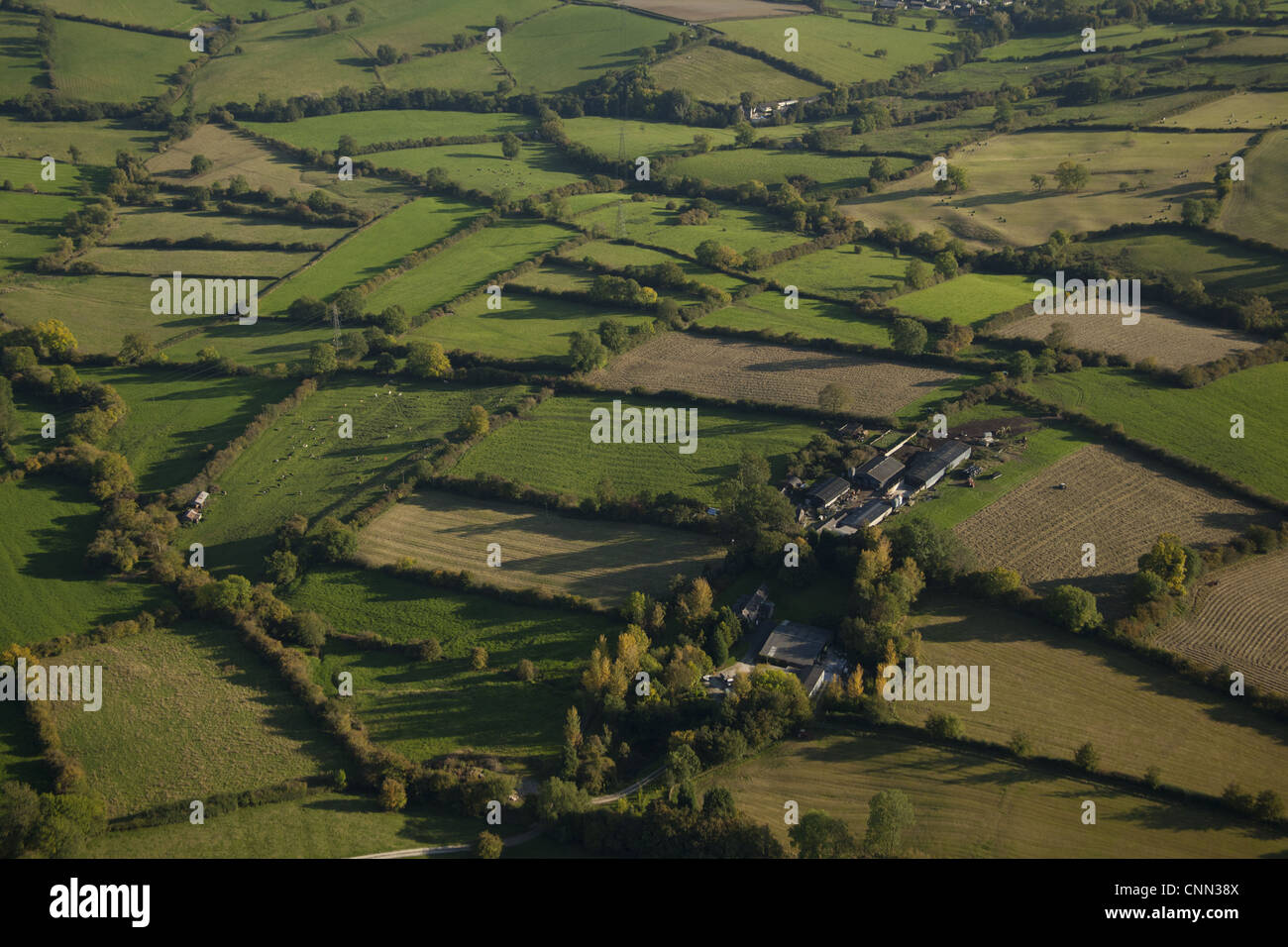 Aerial view pasture meadows hedgerows farm buildings cattle near ...