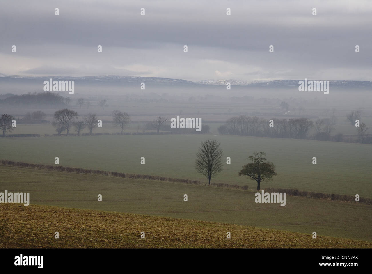 View mist over fields low cloud over moorland in distance North ...