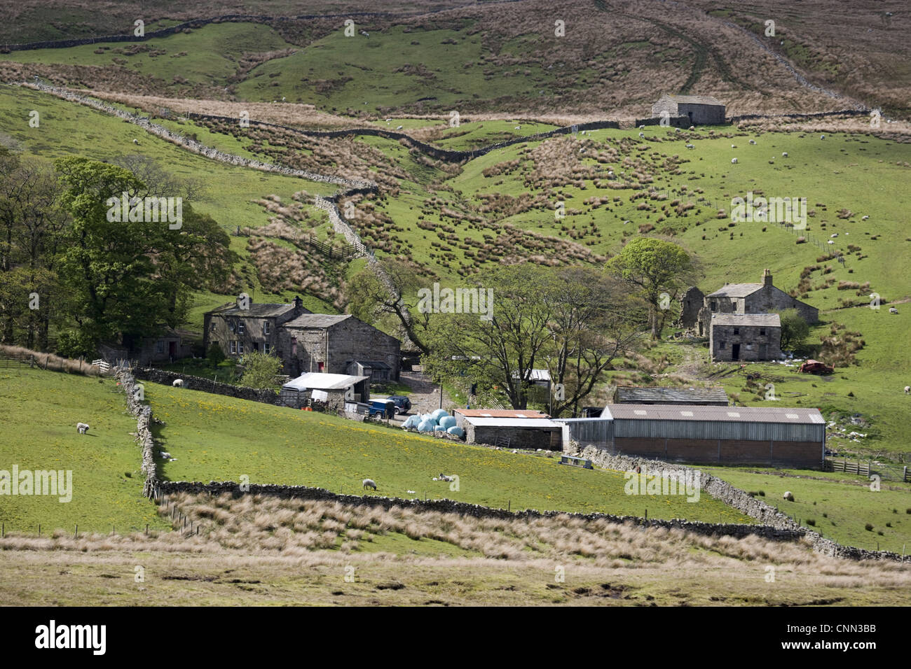 View of upland farm with farmyard, buildings, sheep grazing in pasture ...