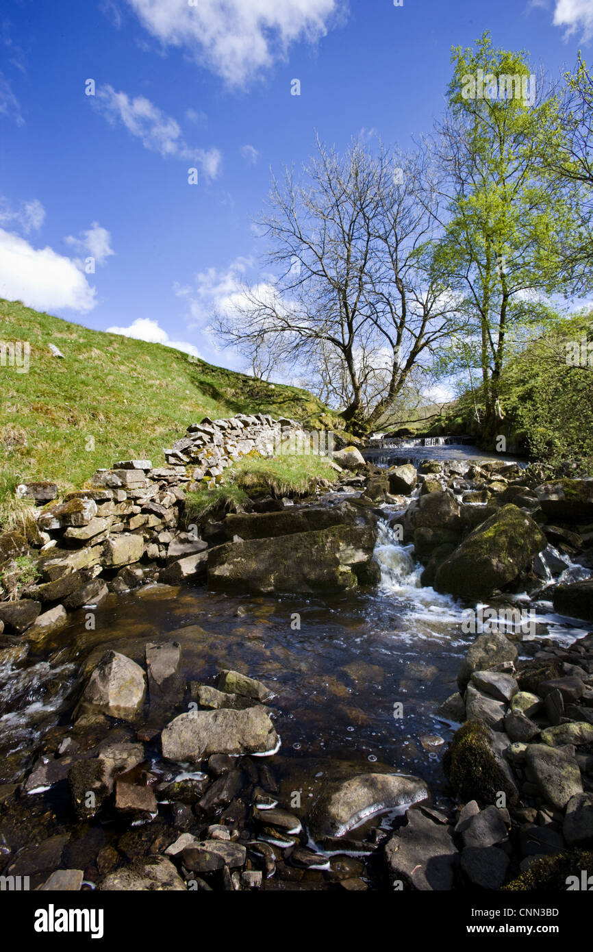 Yorkshire view hi-res stock photography and images - Alamy