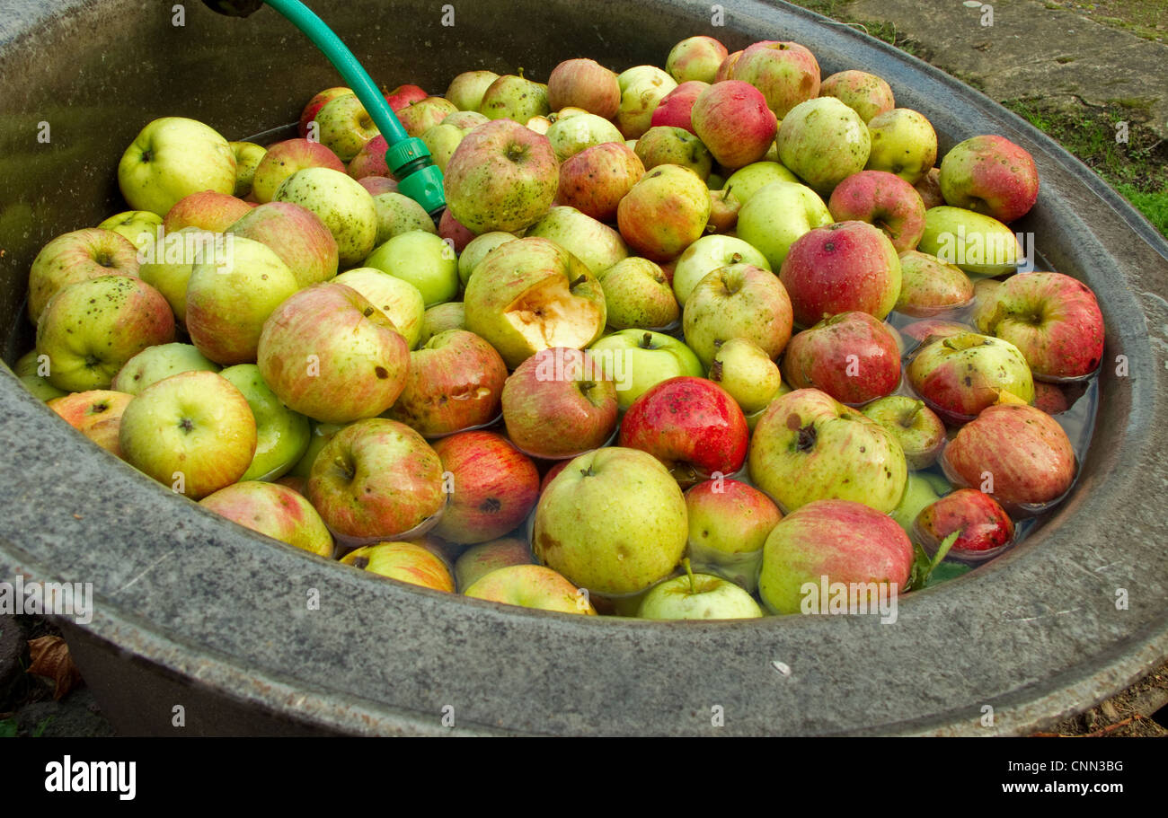 Waterbath hi-res stock photography and images - Alamy