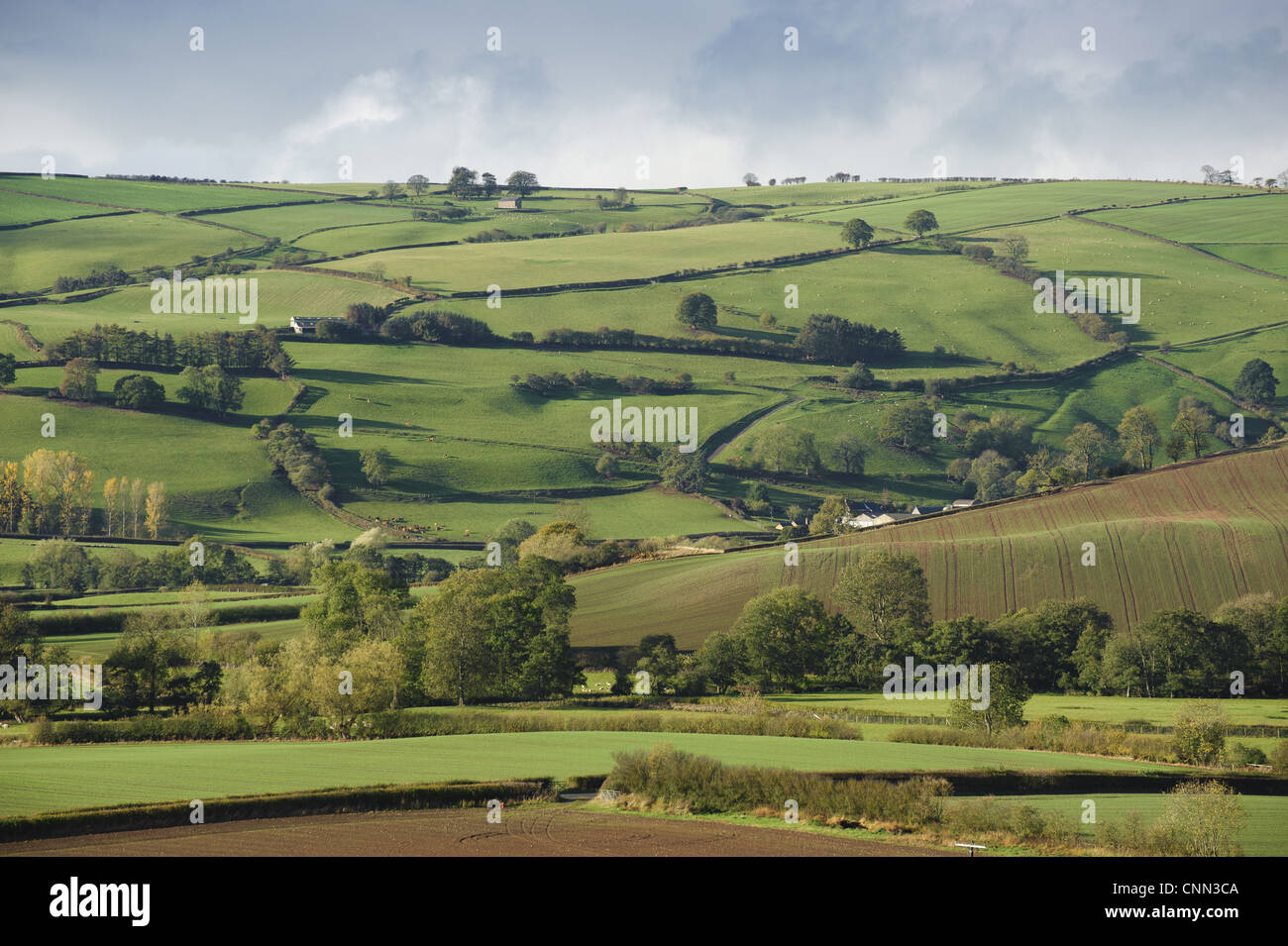 View of rural landscape with farmland of mixed arable and pasture with ...