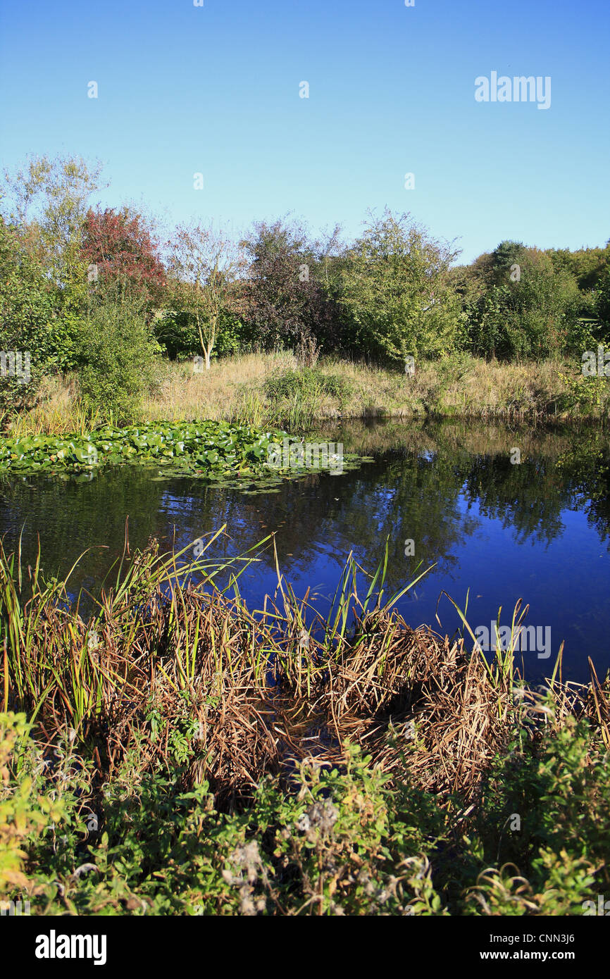 Vegetated edges hi-res stock photography and images - Alamy