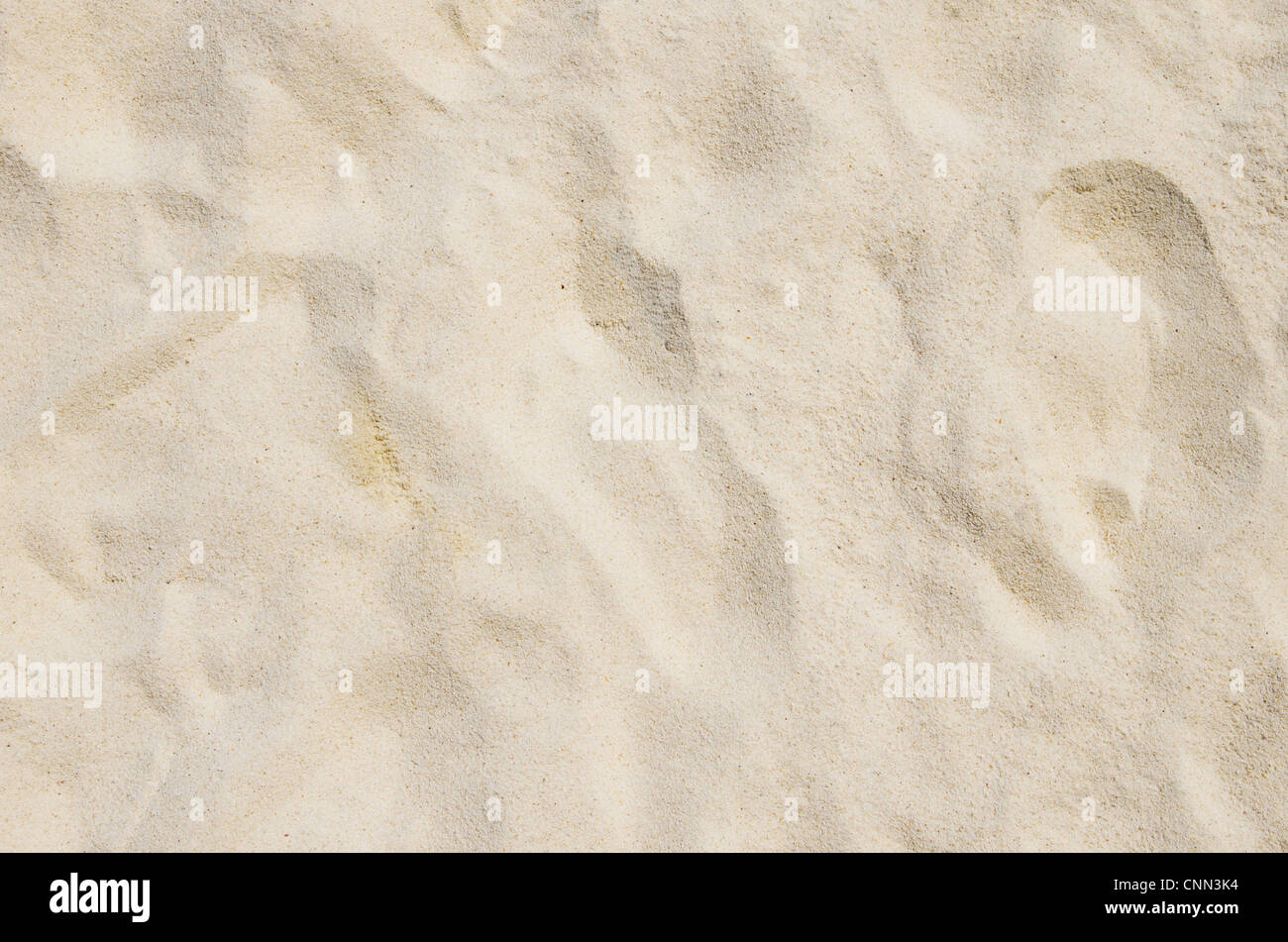Close up shot of coral sand Stock Photo - Alamy