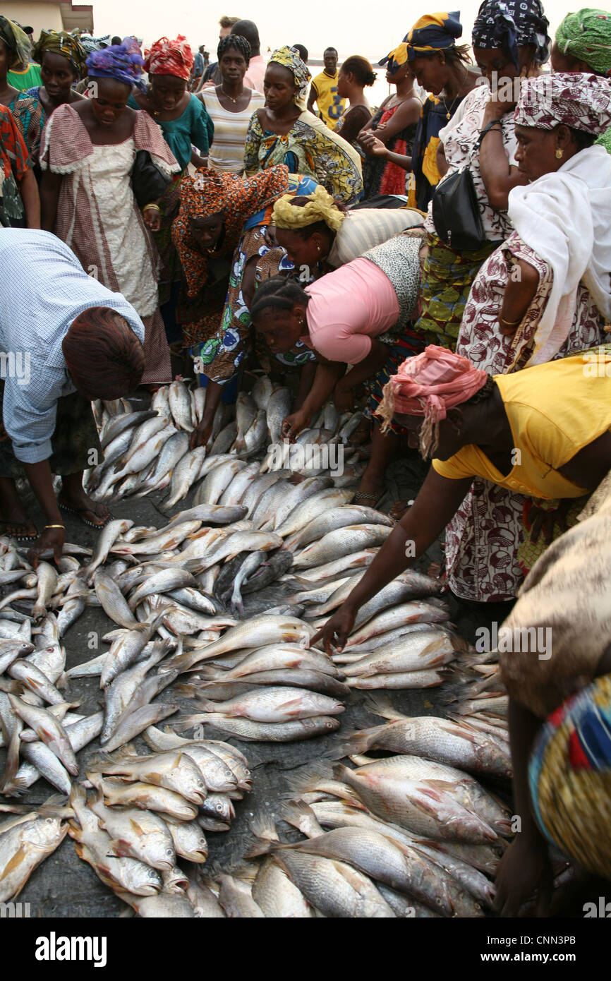 Fish Market , Boublinet Harbour , Conakry Guinea , West Africa Stock ...