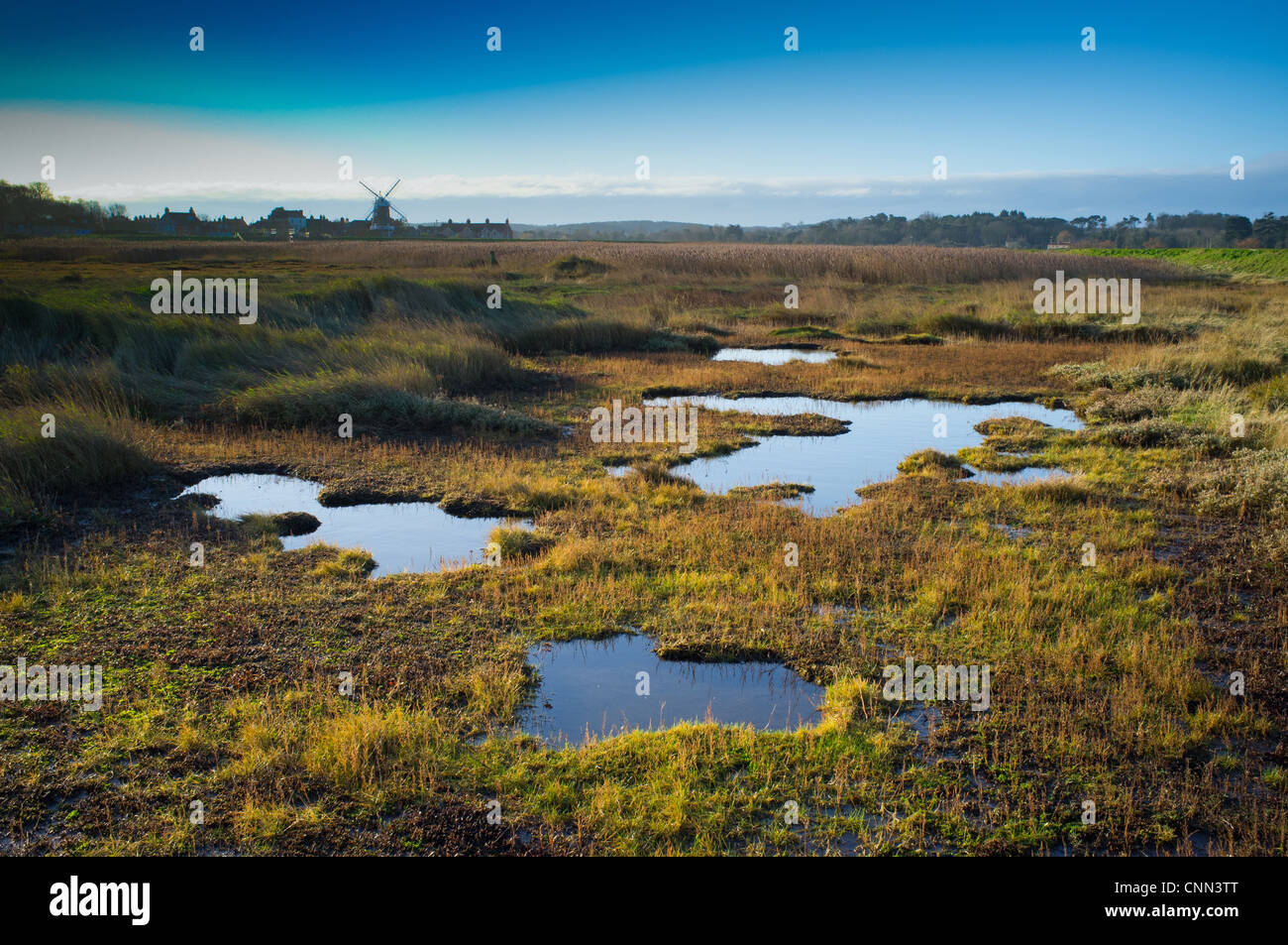 View coastal marshland habitat distant windmill at dusk Cley Mill ...