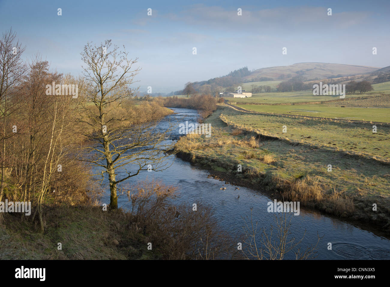 View of river flowing through farmland, looking towards Dunsop Bridge ...