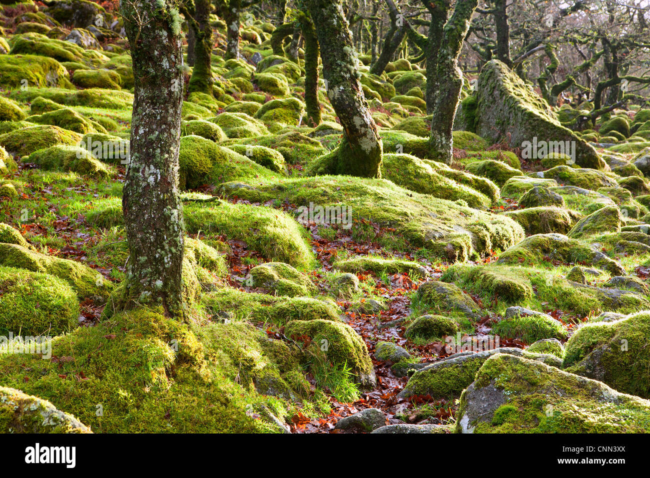 Black a tor hi-res stock photography and images - Alamy