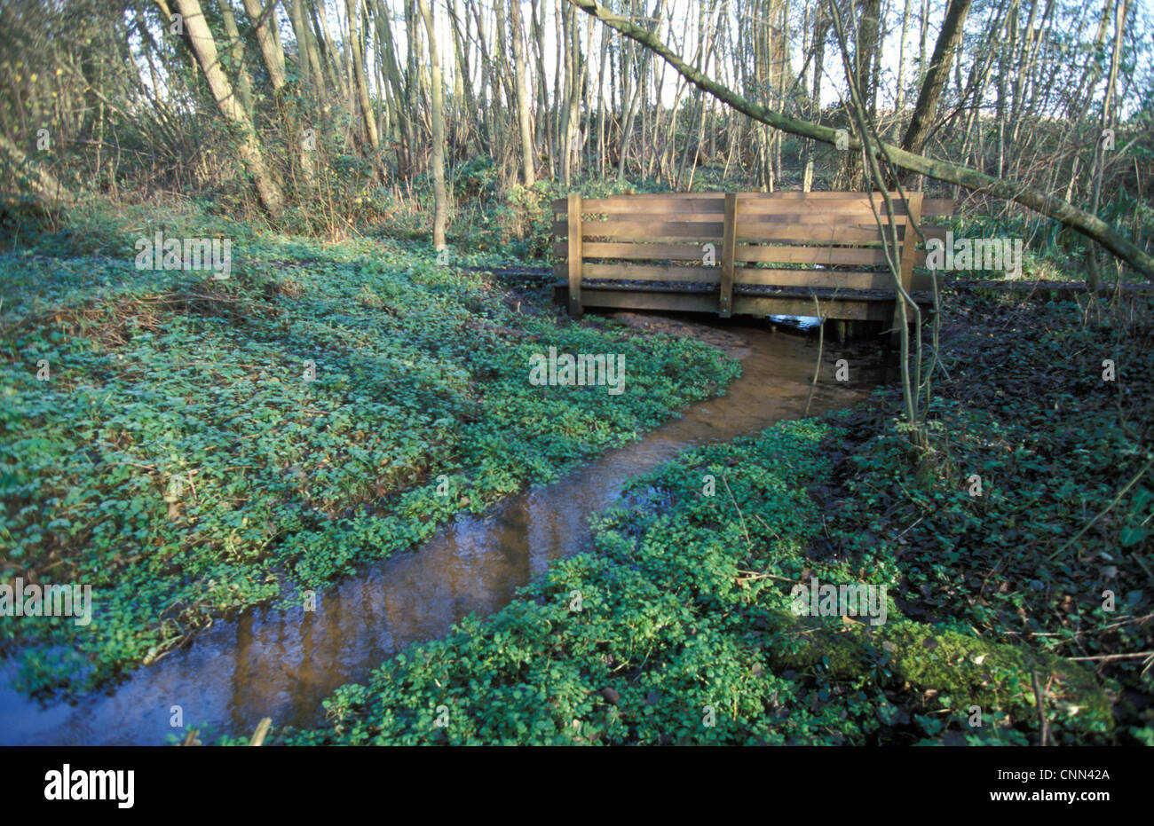 Newbourne hi-res stock photography and images - Alamy