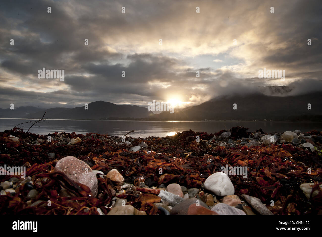 Sunset and clouds over sea loch, Loch Linnhe, Onich, Highlands ...