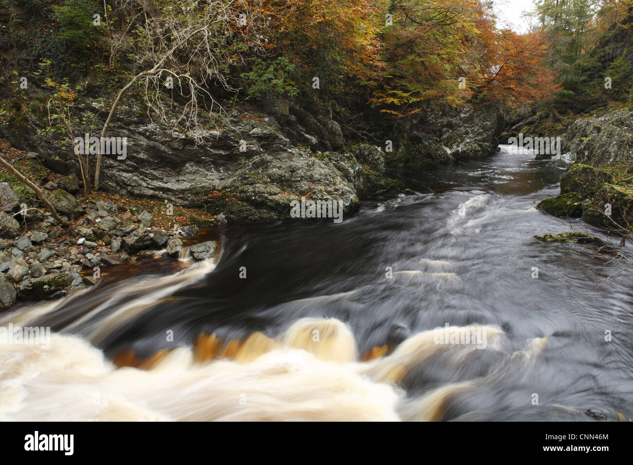 River flowing through wooded gorge habitat, Rocks of Solitude, River ...