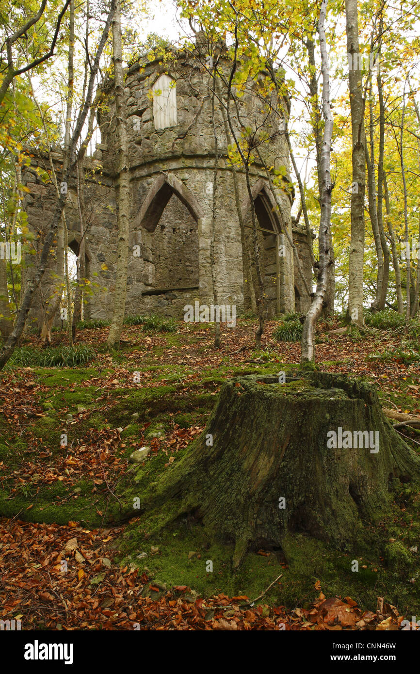 Stone-built folly in woodland habitat, The Burn, Glen Esk, near Edzell ...