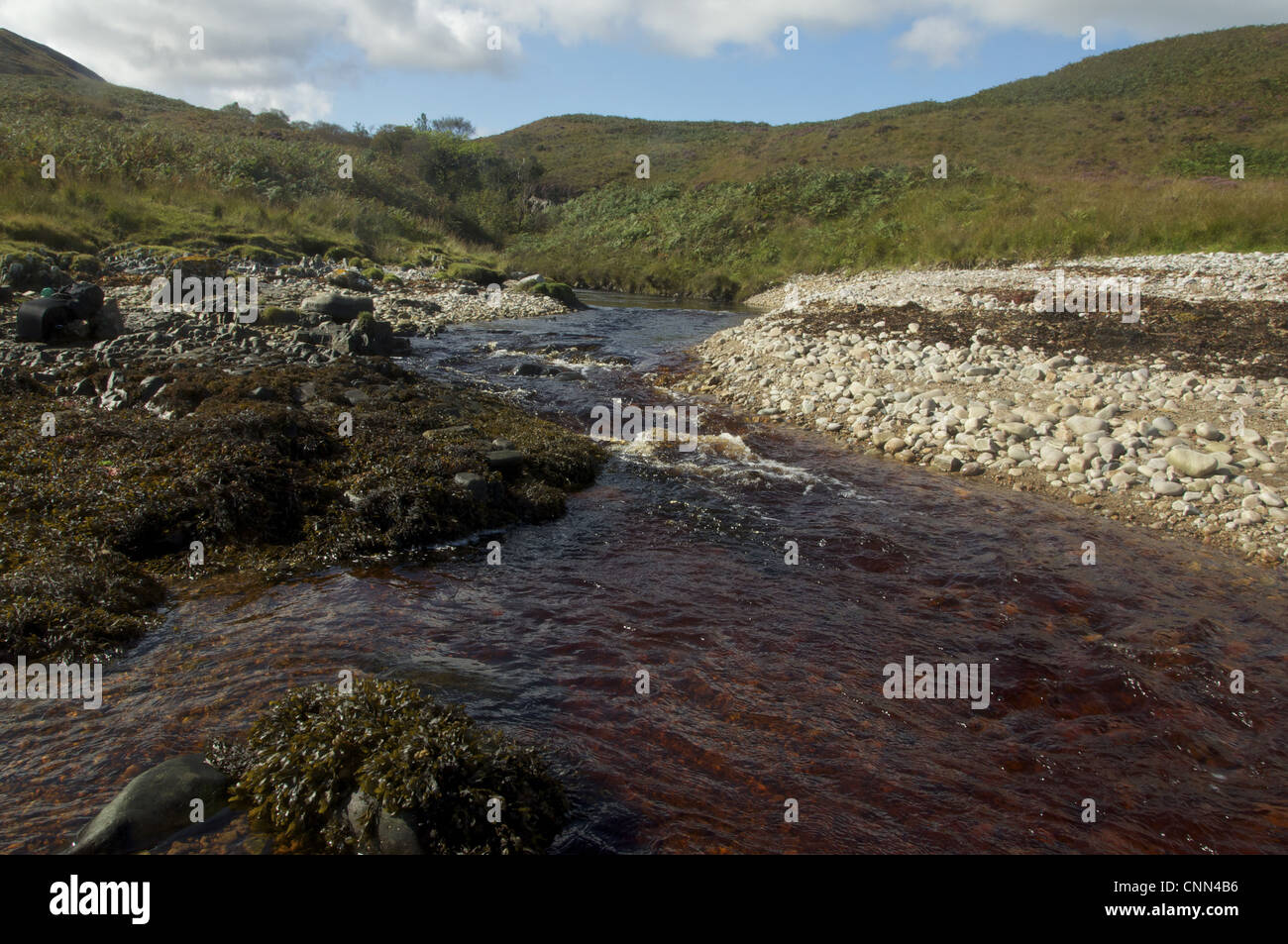 Peat stained river water hi-res stock photography and images - Alamy