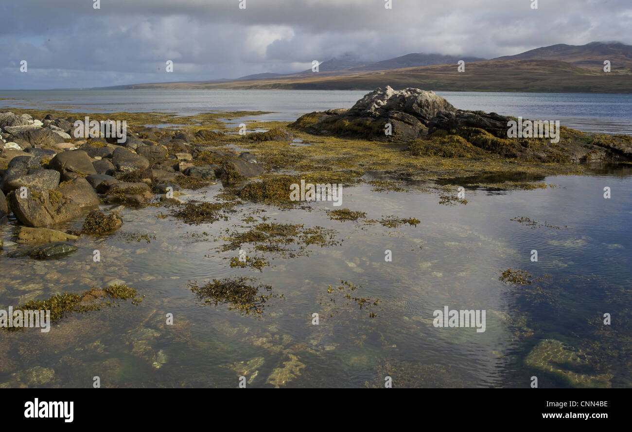 View of rocks and seaweed in coastal strait, Islay Sound, Islay, Inner ...