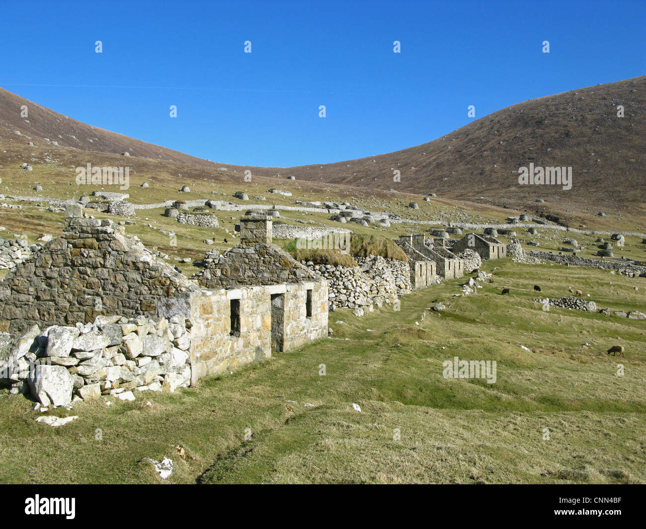 Ruins of houses in abandoned village, Village Bay, St. Kilda, Outer ...