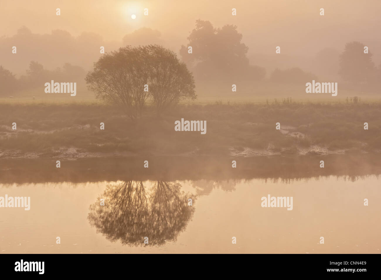 View of river and riverbank in mist at dawn, Tintern, River Wye, Wye ...
