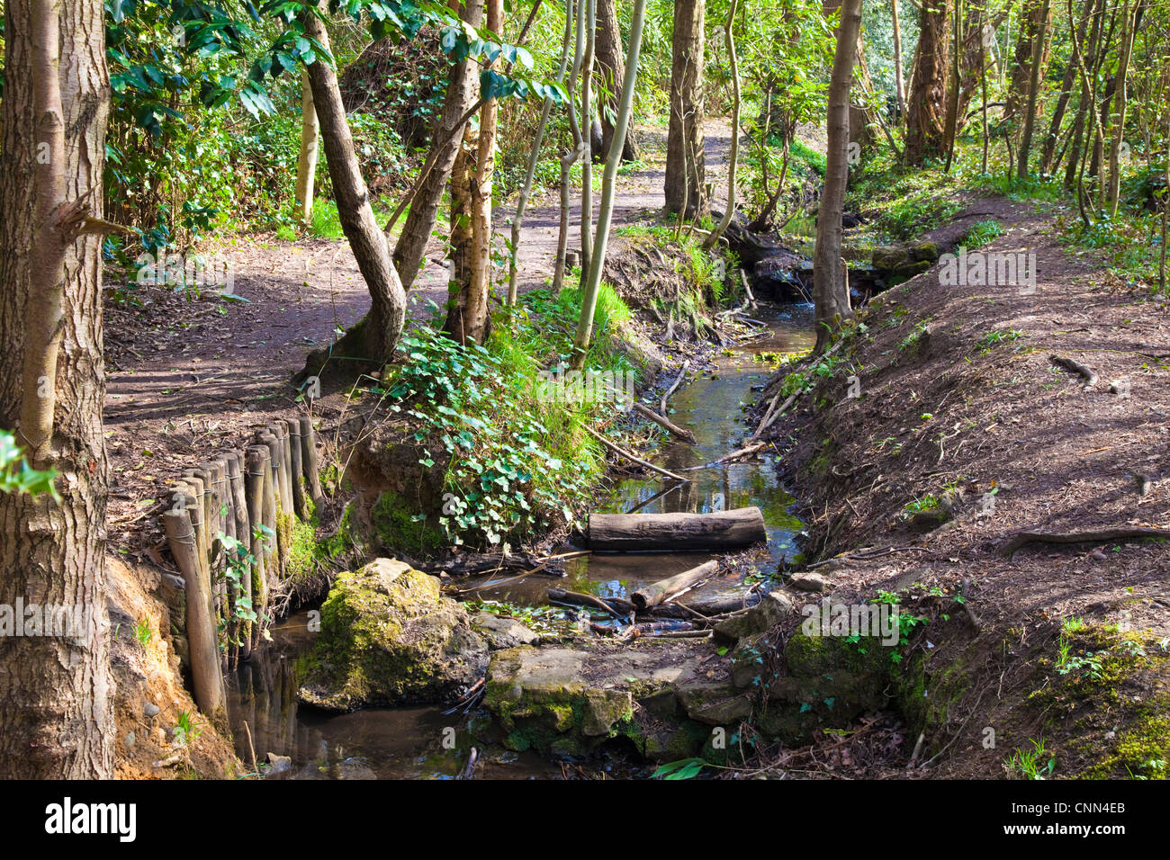 Woodland stream, Keston Common, Kent, UK Stock Photo - Alamy